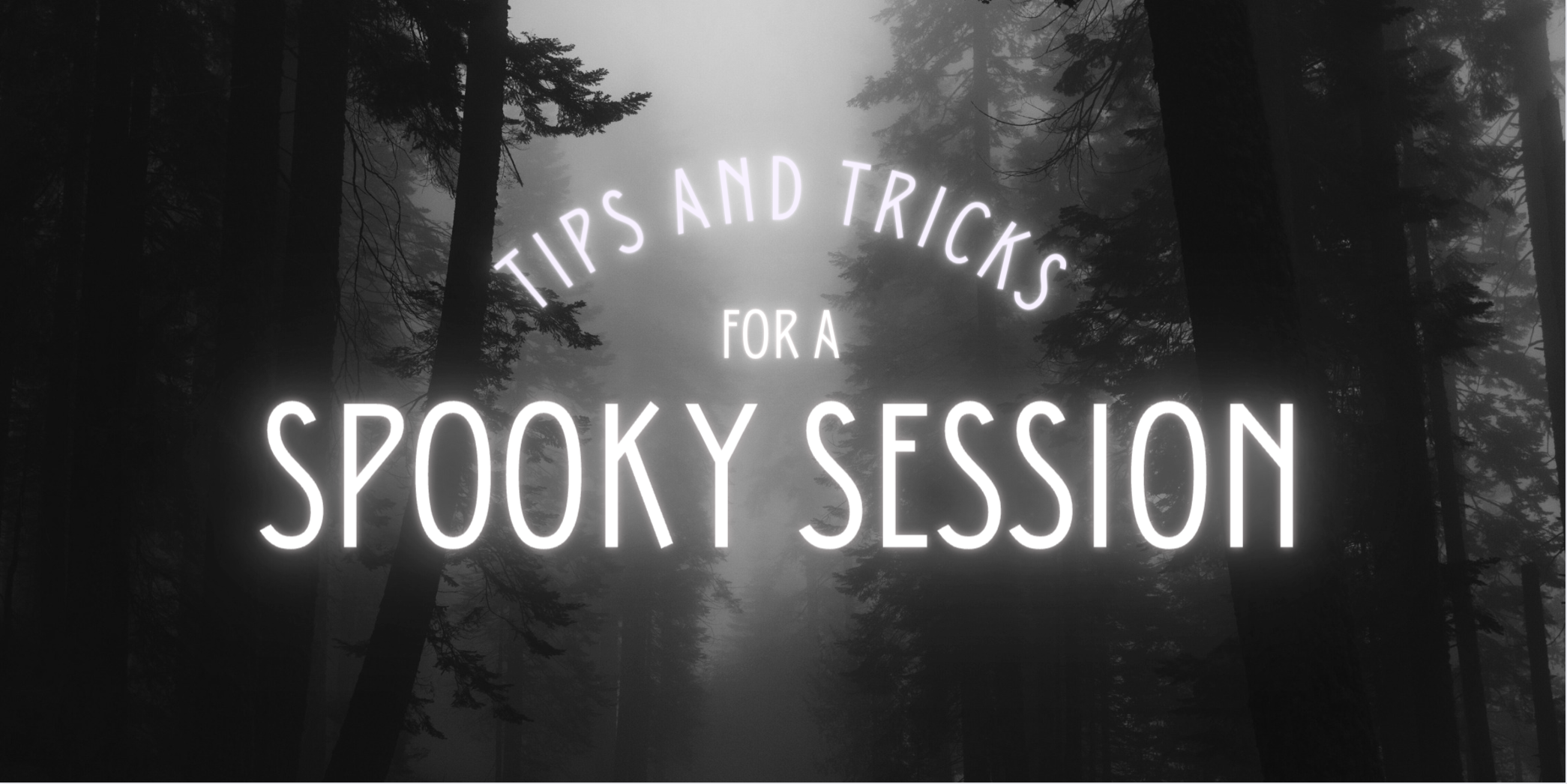 Tips and Tricks for a Spooky Session!🎃 – BDDbrands